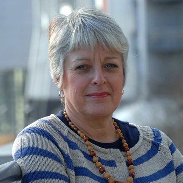 Susan Hamer – The Queen's Institute of Community Nursing