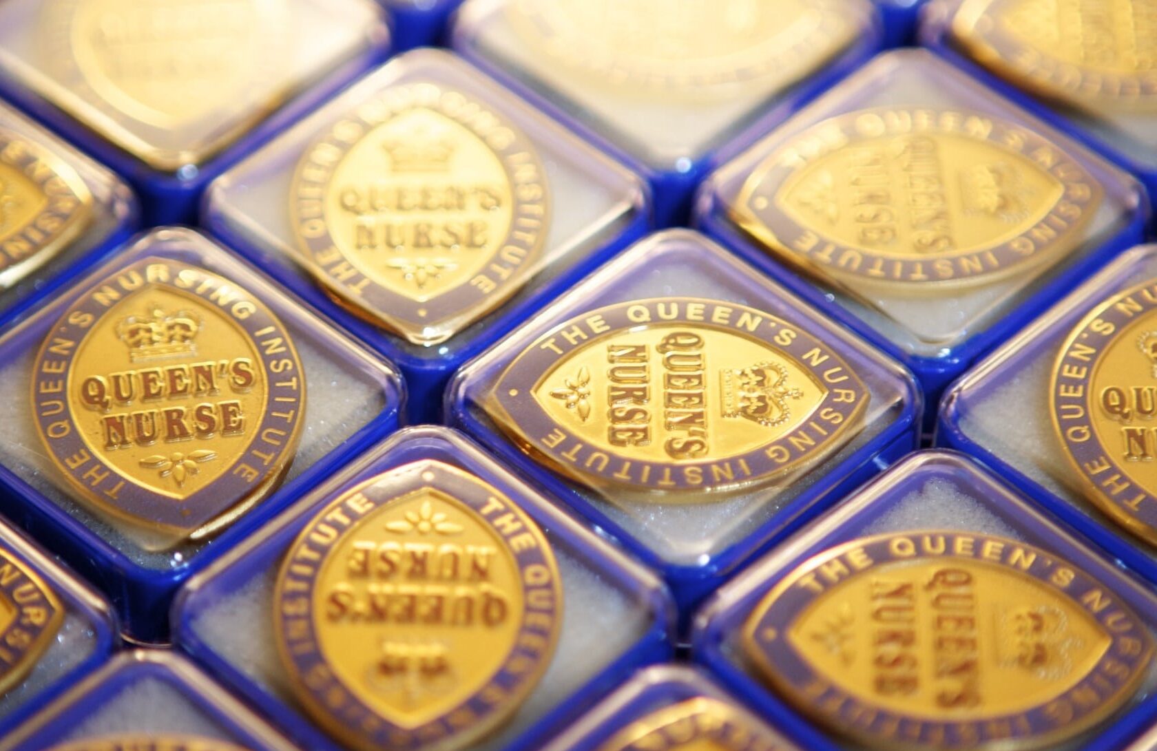 Welcome to New Queen’s Nurses 2023 – The Queen's Institute of Community ...